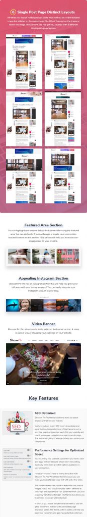 Blossom Pin Pro - Best Pinterest Style WordPress Theme