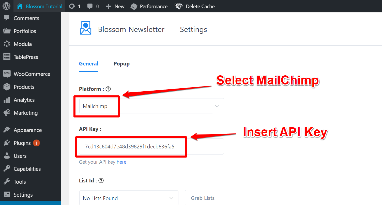 How To Add Email Subscription To Wordpress A Step By Step Guide