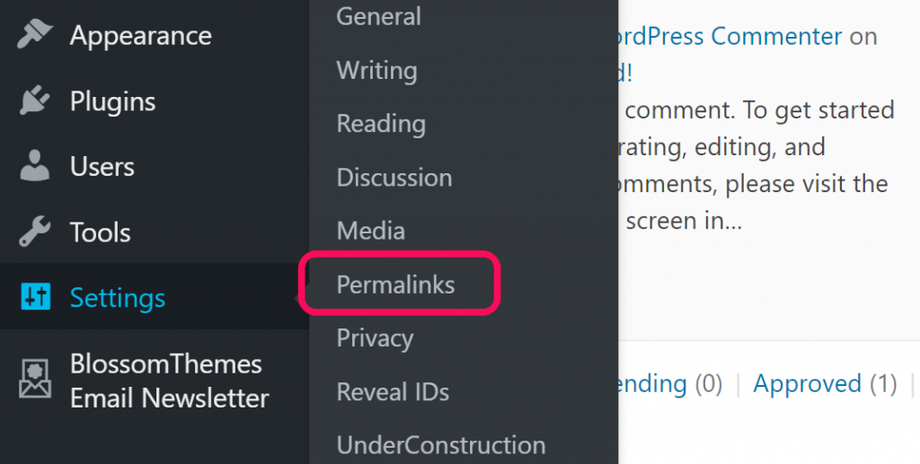 How to Fix WordPress Internal Server Error?