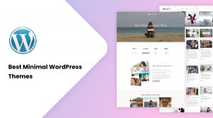 30+ Best Minimal WordPress Themes in 2025 (Reviewed)