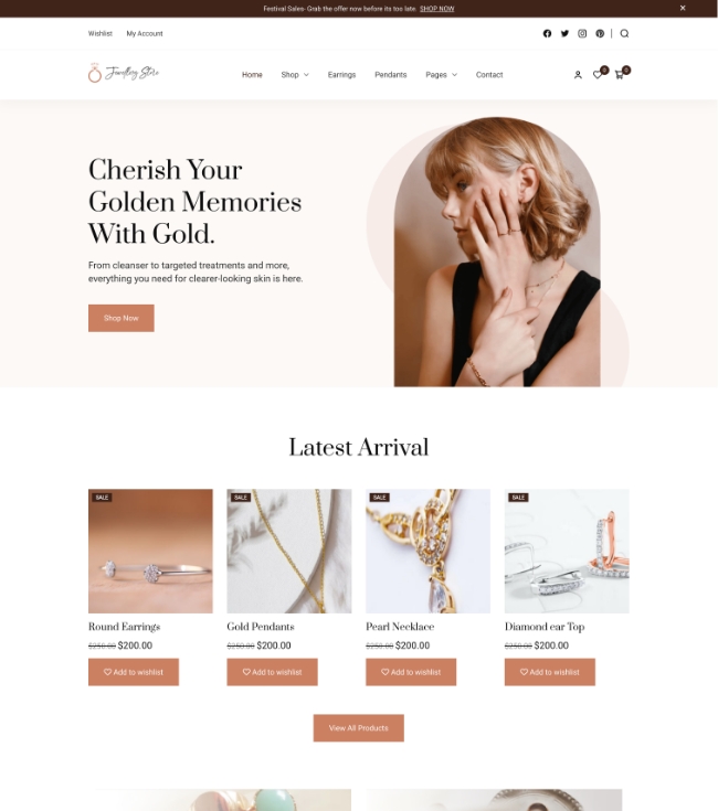 Shopexcel WordPress Theme Demo | Blossom Themes