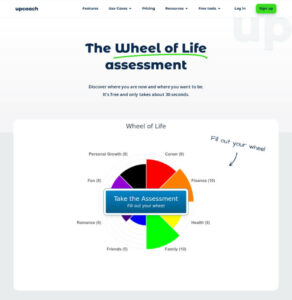 How to Create Customizable Wheel of Life Online?