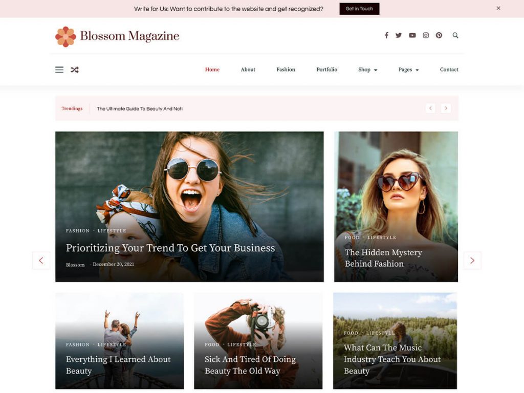WordPress Themes - Blossom Themes
