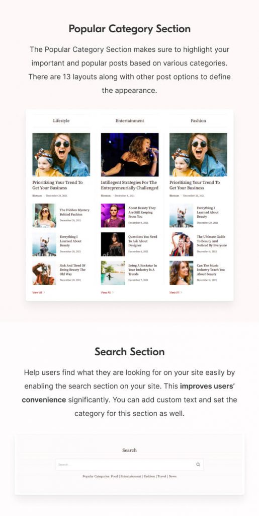 Blossom Magazine Pro - Premium Magazine WordPress Theme