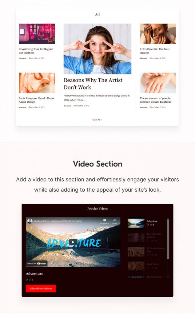 Blossom Magazine Pro - Premium Magazine WordPress Theme
